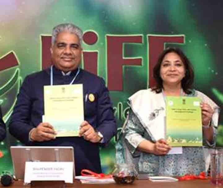 India hosted a pavilion with the theme of LiFE- Lifestyle for ...