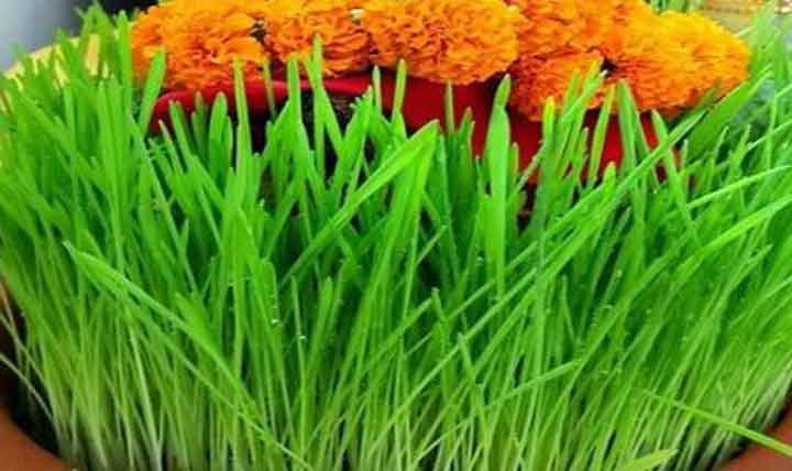 Navratri Jaware immersion: When to do it, know auspicious time ...