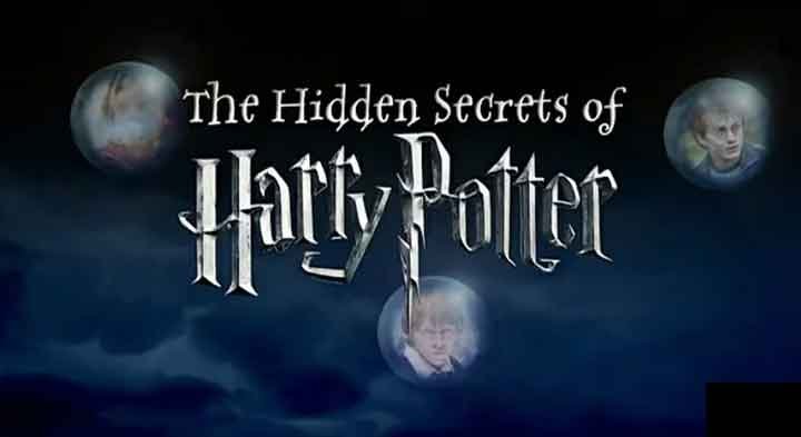 Explore the Hidden World of Harry Potter - Secrets That Will Leave You ...