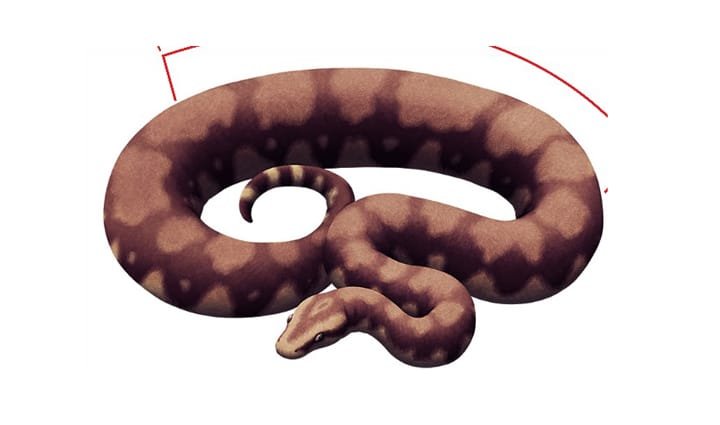 IIT Roorkee Unveils Vasuki Indicus: India's Ancient Giant Snake Fossil